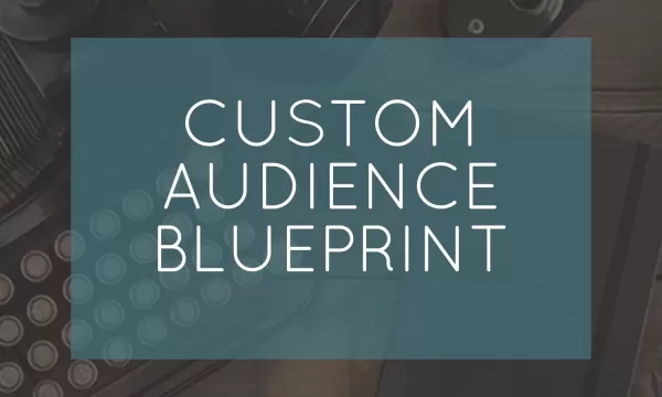 Add A Custom Audience Blueprint